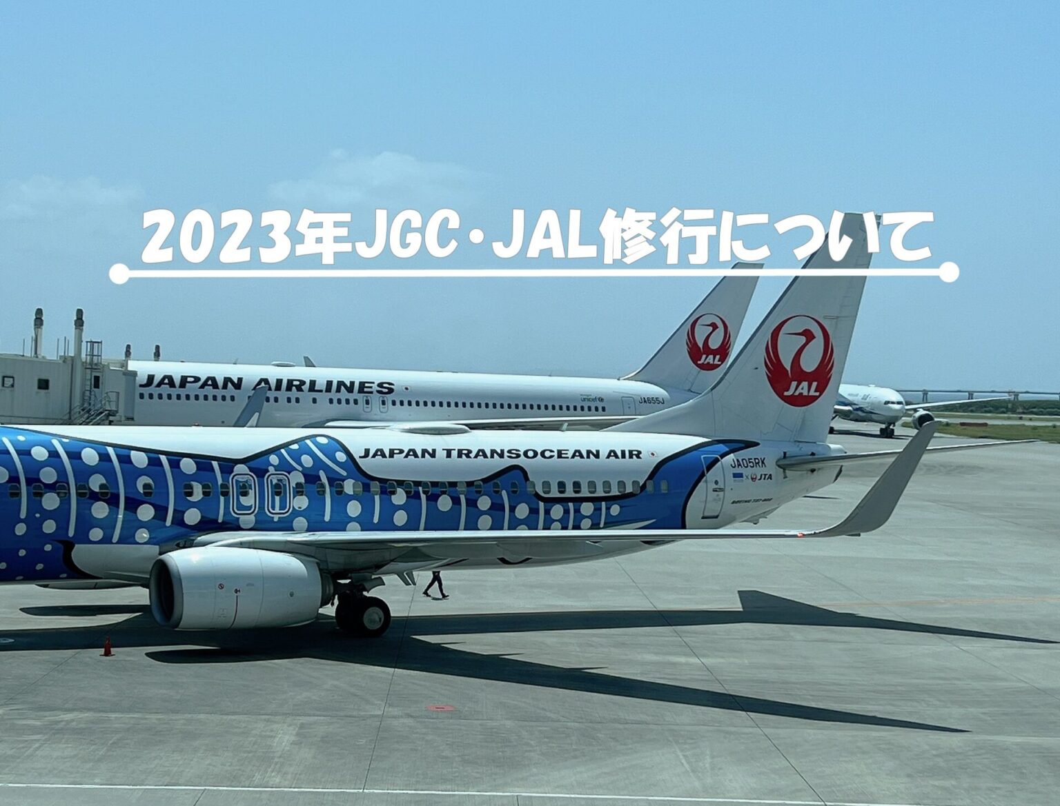 JAL（JGC）修行｜サファイア達成50,000FOP獲得にかかった費用・ルートなど体験レポート！ | たびまめ